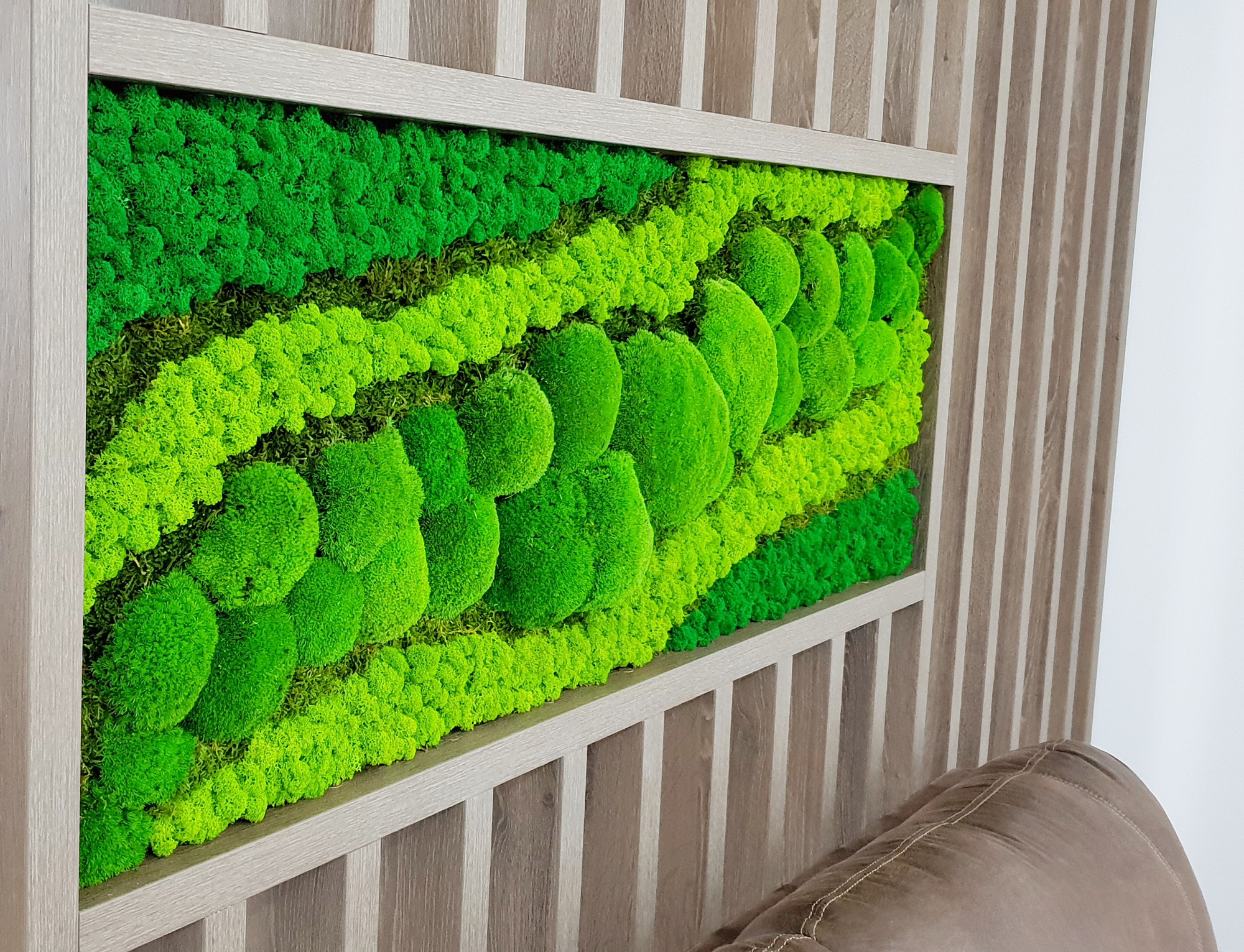Poze, imagini Tablouri cu licheni si muschi decorativi Urbanature