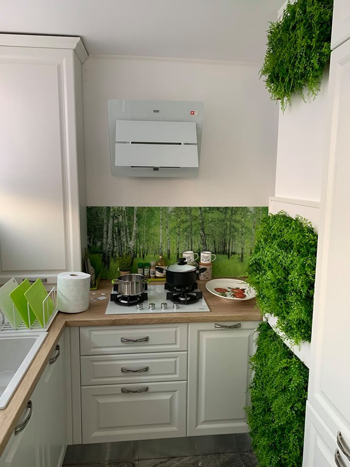 Poze, imagini Sticla printata termorezistenta pentru bucatarie DUCA Glass