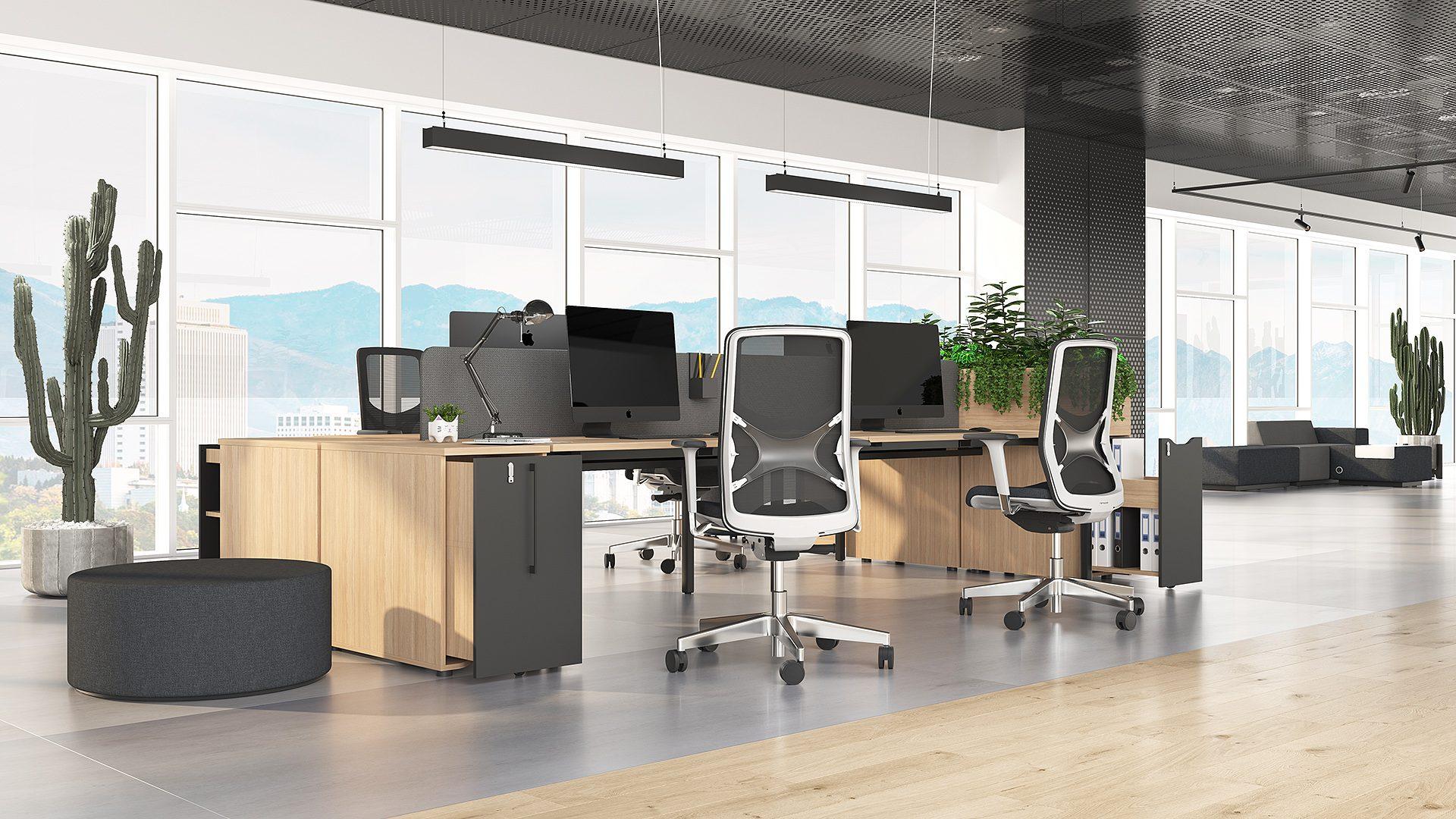 Poze, imagini Dulapuri, etajere și casetiere pentru depozitare birou ...