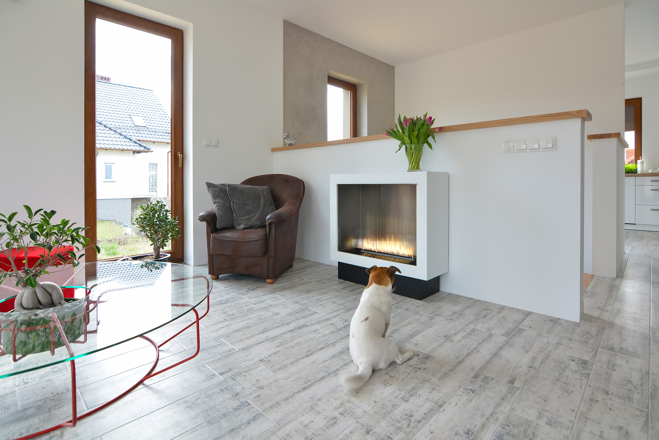 Poze, imagini Seminee pe bioetanol pentru interior si exterior PLANIKA