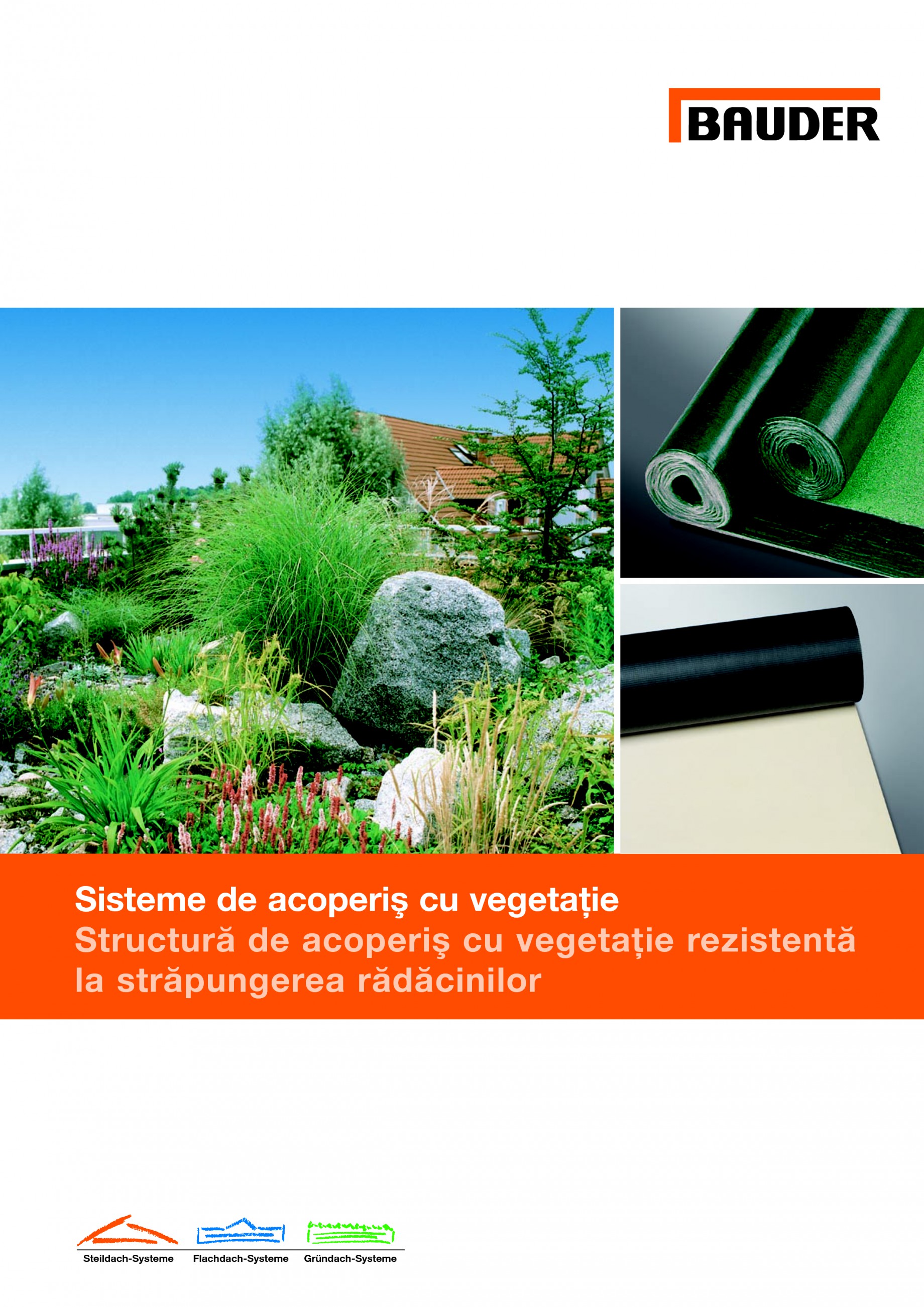 Structura de acoperis cu vegetatie rezistenta la strapungerea ...