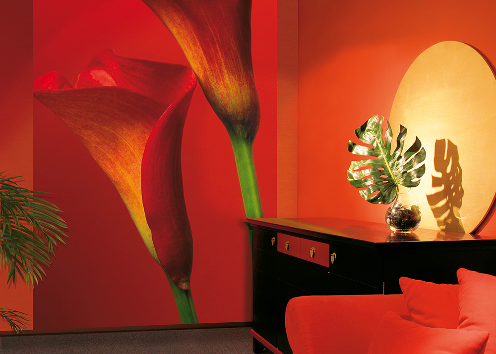 Promo fototapet - TAPETCENTER