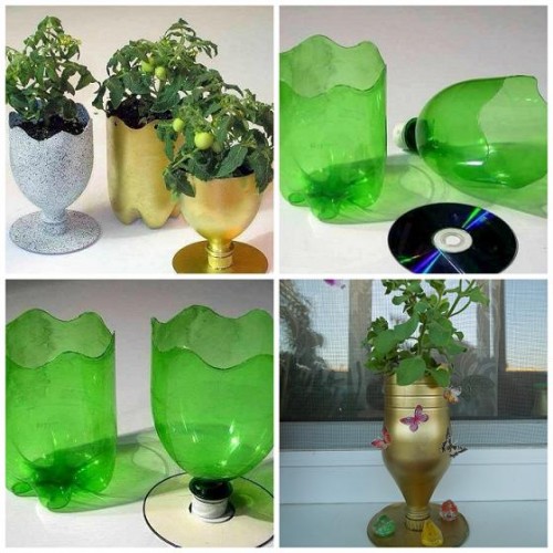 Ghivece de flori din sticle de plastic