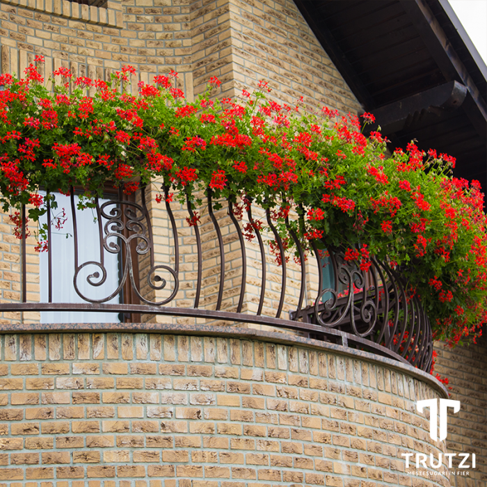 Balustrade metalice din fier forjat TRUTZI