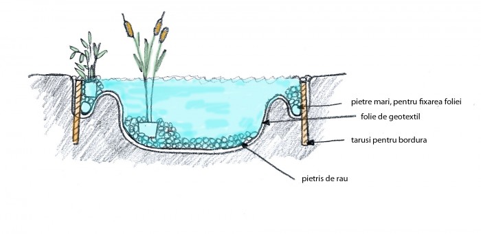 Idei pentru un iaz in gradina proprie