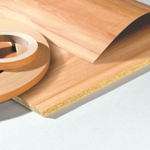 PAL - definiție, explicații și imagini