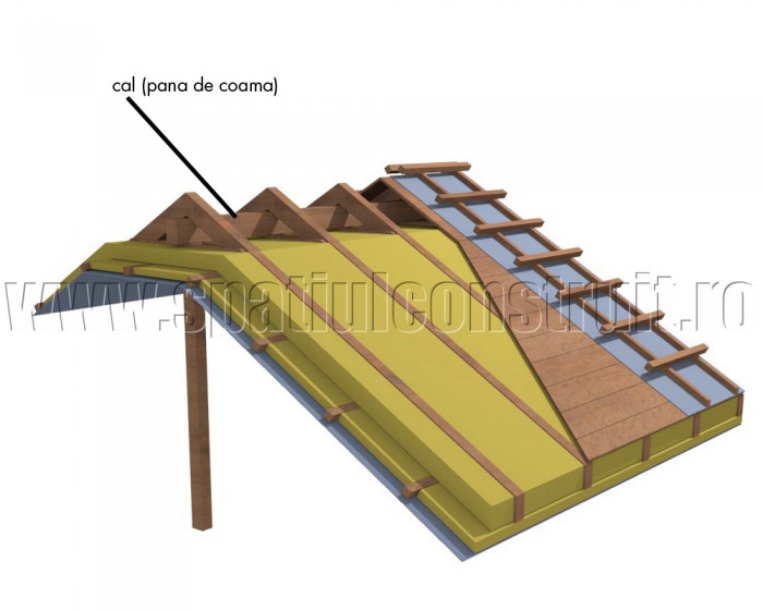 cal (saua casei) - definiție, explicații și imagini