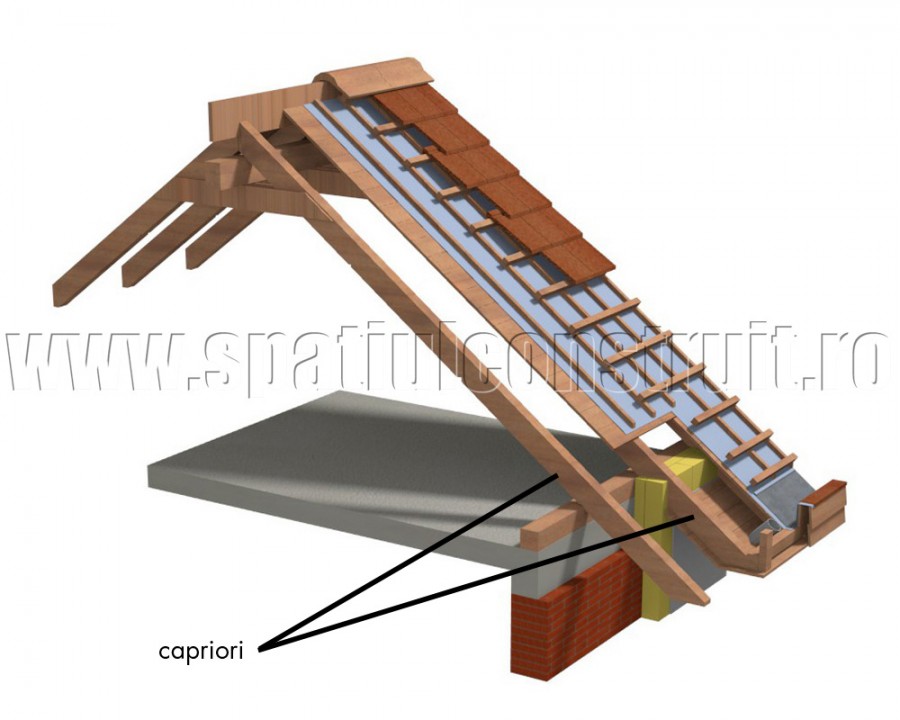 caprior - definiție, explicații și imagini
