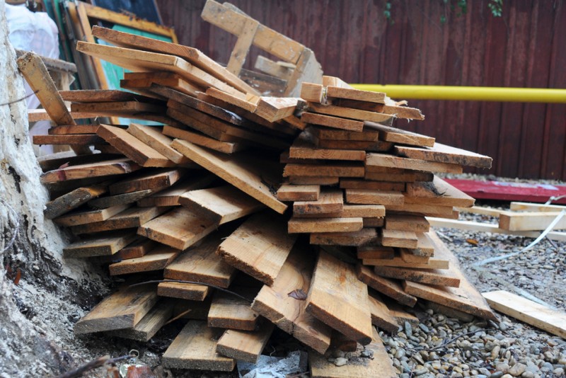 scandura - definiție, explicații și imagini