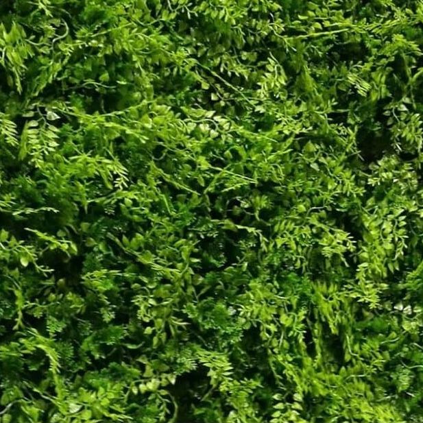 Locuinta turn plina de vegetatie in Vietnam