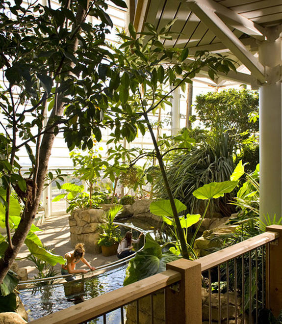 O padure tropicala in incinta Serei Phipps si a Gradinii Botanice din ...